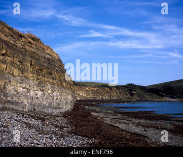Cliffs at Kimmeridge Bay, Isle of Purbeck, Dorset, England, UK Stock ...