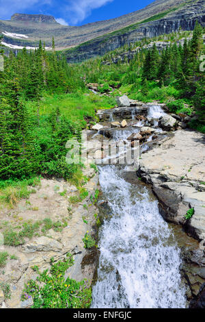 mountain stream on a high alpine trail in glacier national park in ...