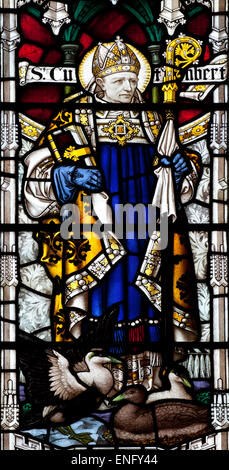 Stained-glass window of St. Cuthbert holding the head of King St ...