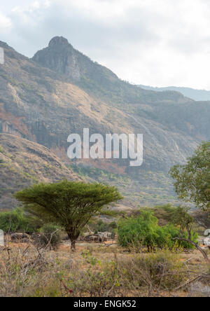 Rendille Traditional Hut, Marsabit District, Ngurunit, Kenya Stock ...