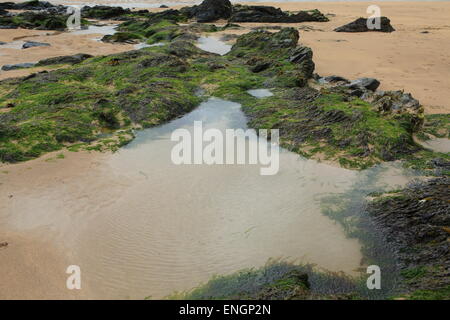 Rockpools on Constantine bay, North Cornwall, England, UK Stock Photo ...