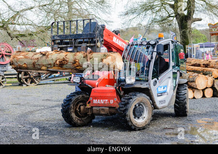 Forklift moving tree trunk Stock Photo - Alamy