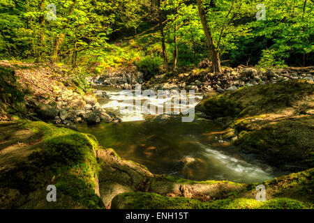 River in Hirkan national park in Lankaran Azerbaijan Stock Photo - Alamy