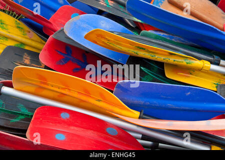Bunch of plastic colorful oars Stock Photo - Alamy