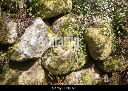 large rock wall moss vines overgrown fern Stock Photo - Alamy