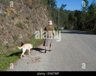 Mature woman with walker and cute dogs sitting on bench in park Stock ...