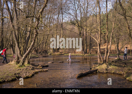 Sringtime weekend walkers are drawn to the Sherbrook valley on Cannock ...