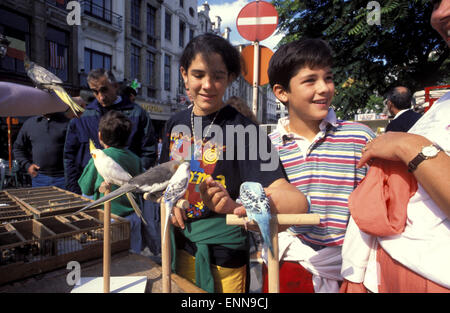 BEL, Belgium, Brussels, birds market at tge Grass market. BEL, Belgien ...