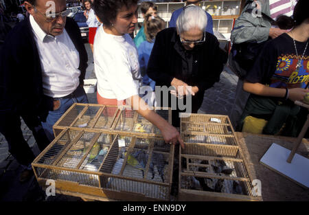 BEL, Belgium, Brussels, birds market at tge Grass market. BEL, Belgien ...