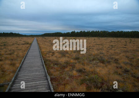 Store Mosse National Park in Sweden Stock Photo - Alamy