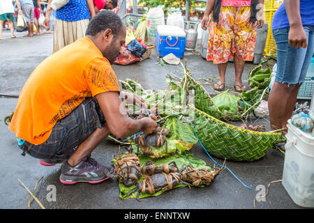 Crabs trussed up for sale. Suva Fish market. Suva, Fiji Stock Photo - Alamy