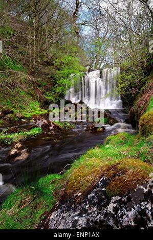 Scale Haw Force Stock Photo - Alamy