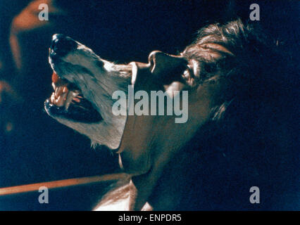 THE COMPANY OF WOLVES, Micha Bergese, 1984 Stock Photo - Alamy