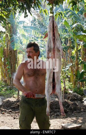 Farmer dressing a pig before roasting, Valle de los Ingenios (Valley of ...
