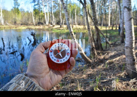 Green hiking compass in the forest on a stump in the sunlight Stock ...