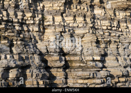 Limestone with mudstone layers Stock Photo - Alamy