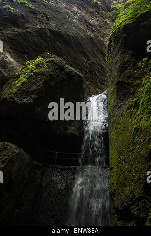 Waterfall in Levada Nova, Ponta do Sol, Madeira, Portugal. Laurisilva ...