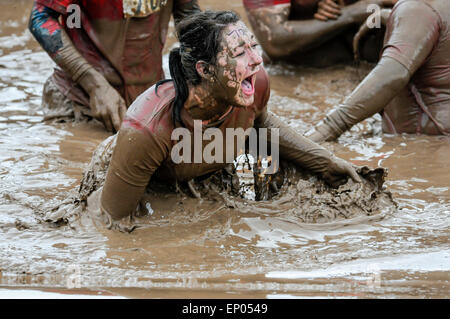 Mud covered young woman competitor waist deep in mud lake, obstacle course race Stock Photo - Alamy