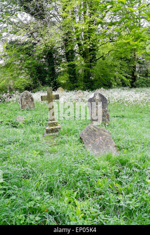 The gravestones in an overgrown graveyard Stock Photo - Alamy