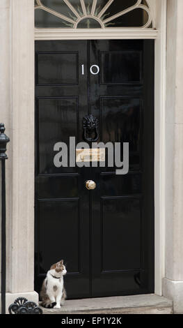 Larry, the Number 10 cat, sitting on the doorstep on 10 Downing Street ...