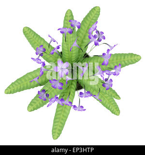 top view on flower pot and hyacinth on a gardening table Stock Photo ...