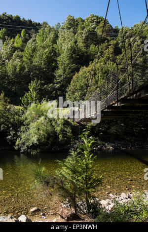 Inangahua River, , NZ, New Zealand, Nelson, S 42 8' 17'', N 171 53' 24 ...
