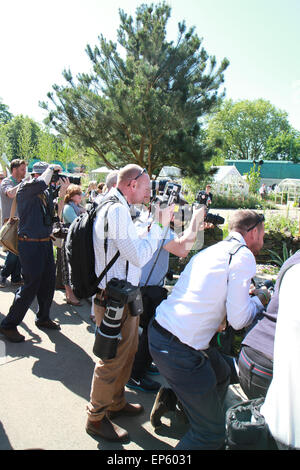 RHS Chelsea Flower Show 2014 Stock Photo - Alamy