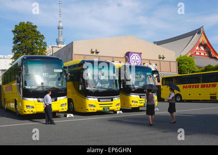 Sightseeing buses lined up side by side in Asakusa Stock Photo - Alamy