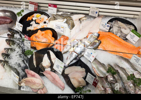Fishmonger counter at a supermarket Stock Photo - Alamy