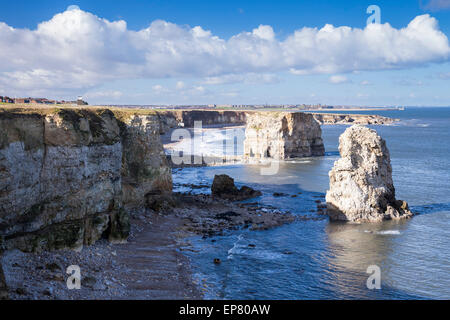 Marsden Rock, a limestone sea stack, in Marsden Bay near South Stock ...