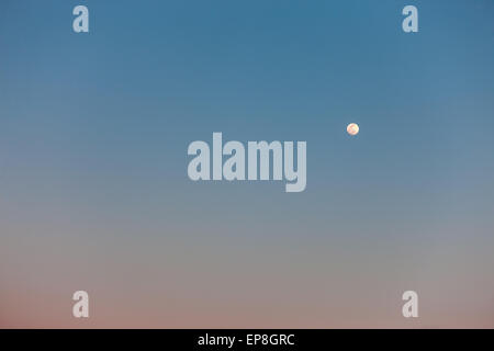 Full Moon In Daylight Sky Stock Photo - Alamy