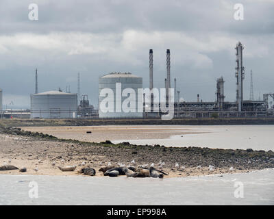 Petrochemical refinery on "Seal Sands", seen over the Tees estuary ...