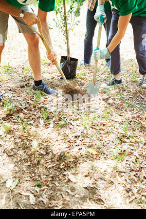 Tree planting (...) 20 Stock Photo - Alamy