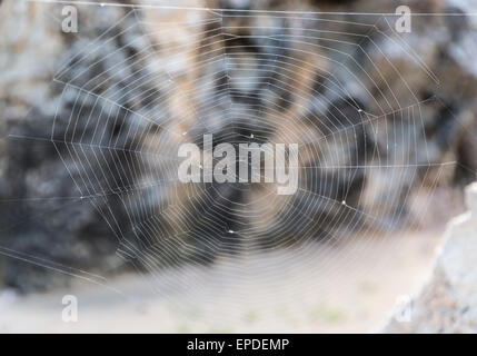 Spiders Web among the rocks Stock Photo - Alamy