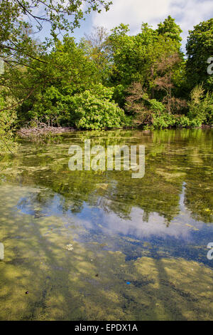 Wanstead Park, London, England Stock Photo - Alamy