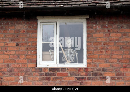 Skeleton Looking Out Window Stock Photo - Alamy