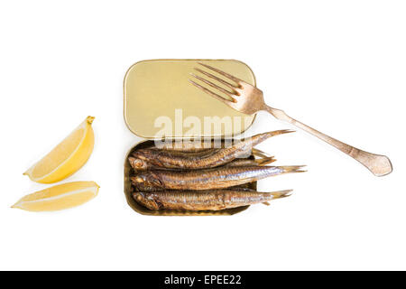 Can of sardines. Top view isolated on white background Stock Photo - Alamy