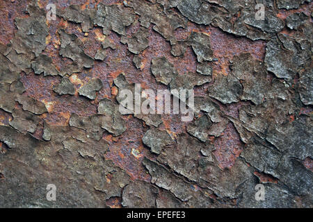 The colours of rusting iron Stock Photo - Alamy