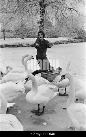 Child star Mandy Miller is pictured here at home on 8th May 1955 Stock ...