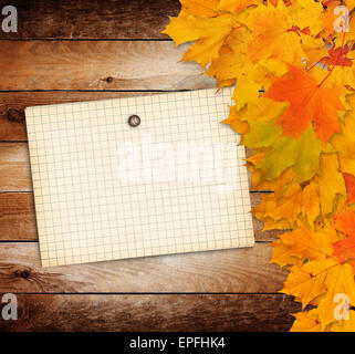 Beautiful dried leaves and notebook on yellow background Stock Photo ...