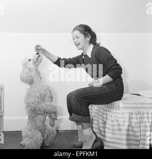 Child star Mandy Miller is pictured here at home on 8th May 1955 Stock ...