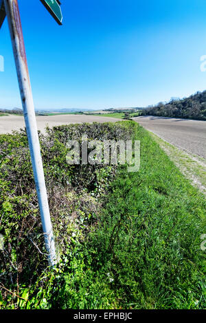 The Isle of Wight countryside is a delightful area for many scores of ...