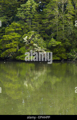 The Mahurangi River at Warkworth North Auckland Peninsula New Zealand ...