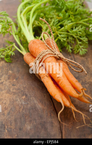 baby carrots bunch tied with rope Stock Photo - Alamy