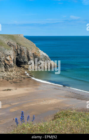 Box Bay. Pembrokeshire Coast National Park. Stackpole Estate ...