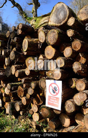 Warning Sign by Log Pile in Epping Forest Stock Photo - Alamy