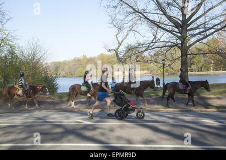 People exercise in Prospect Park in Brooklyn, New York Stock Photo - Alamy