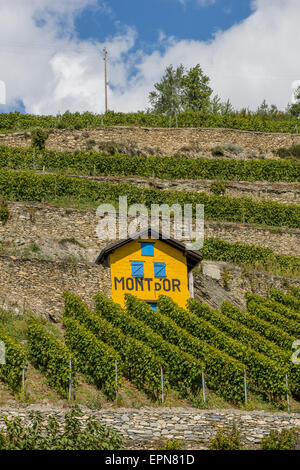 Rhone Valley, vine growing area, Conthey, Bourg, Valais, Switzerland ...