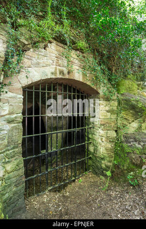 Entrance to caves below Beeston castle in Cheshire, England Stock Photo ...