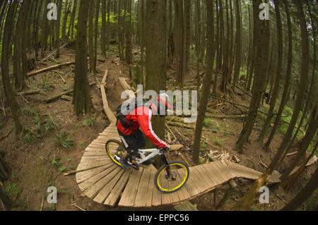 Bike with a ladder Stock Photo - Alamy